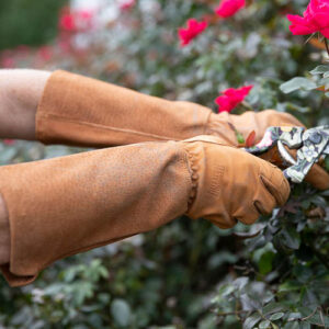Best Gifts for Gardeners - Amateurs to Pros