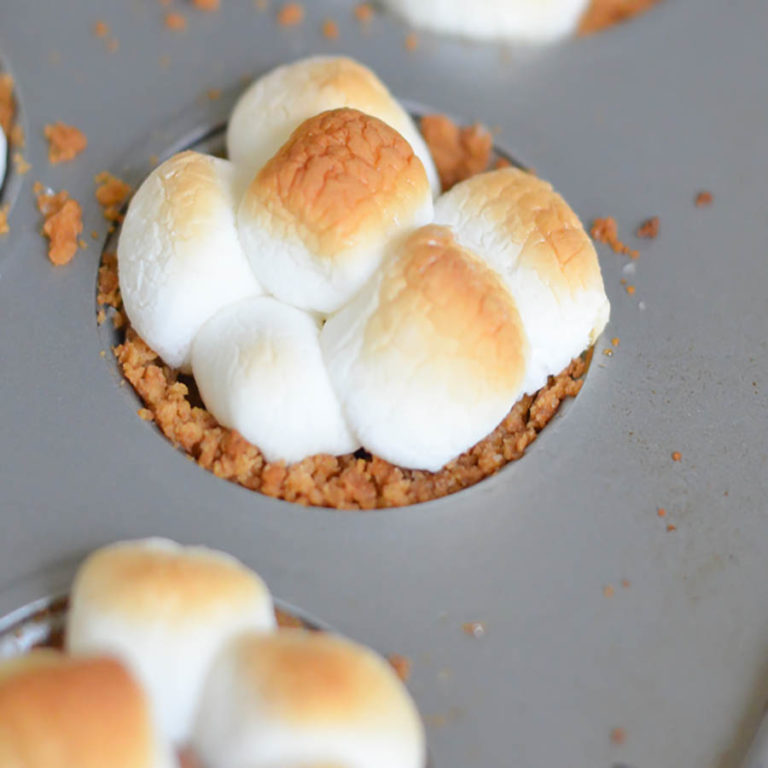 Mini S'mores Tarts {s'mores in the oven} | Luci's Morsels